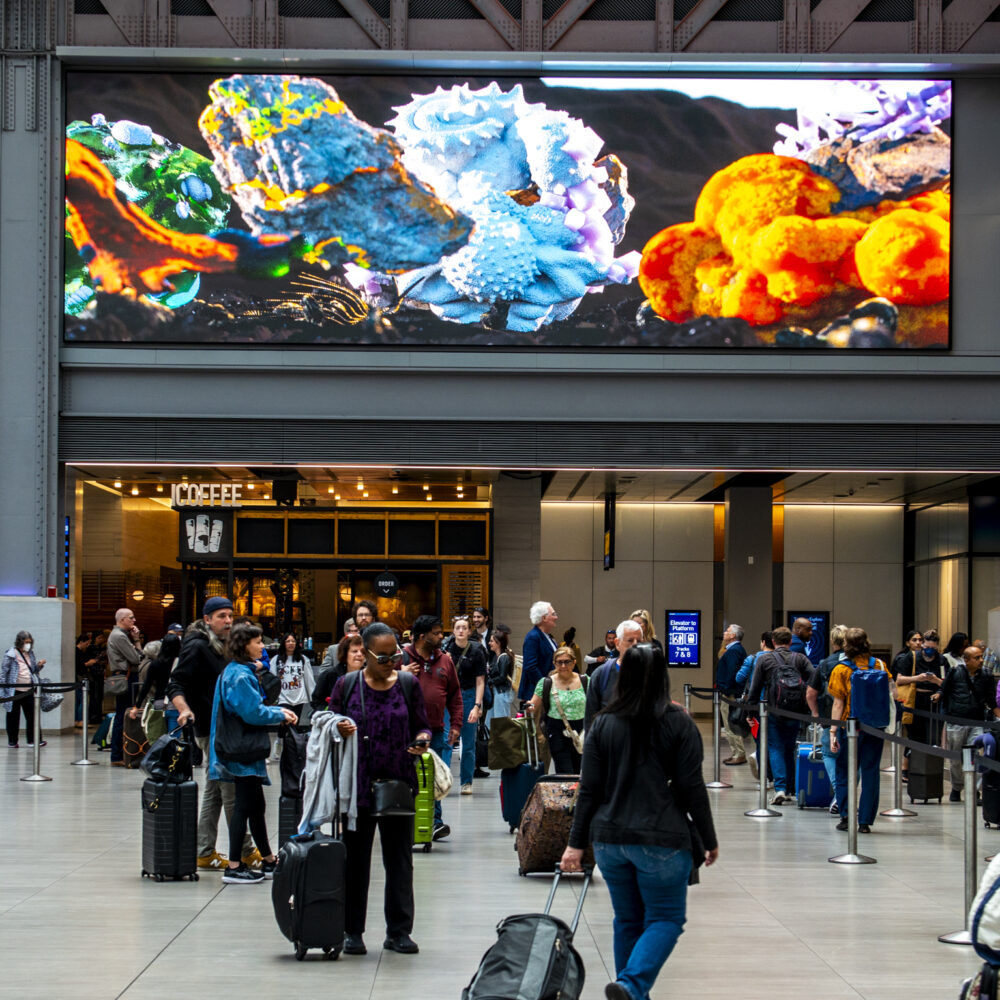 News Archives - Amtrak Media